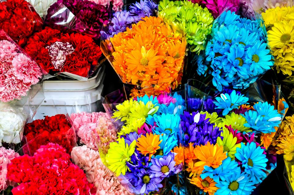 New York Flowers | Shutterbug